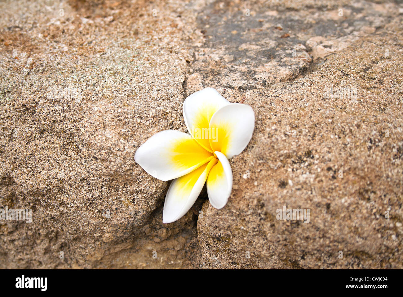 White ashlar stone hi-res stock photography and images - Alamy