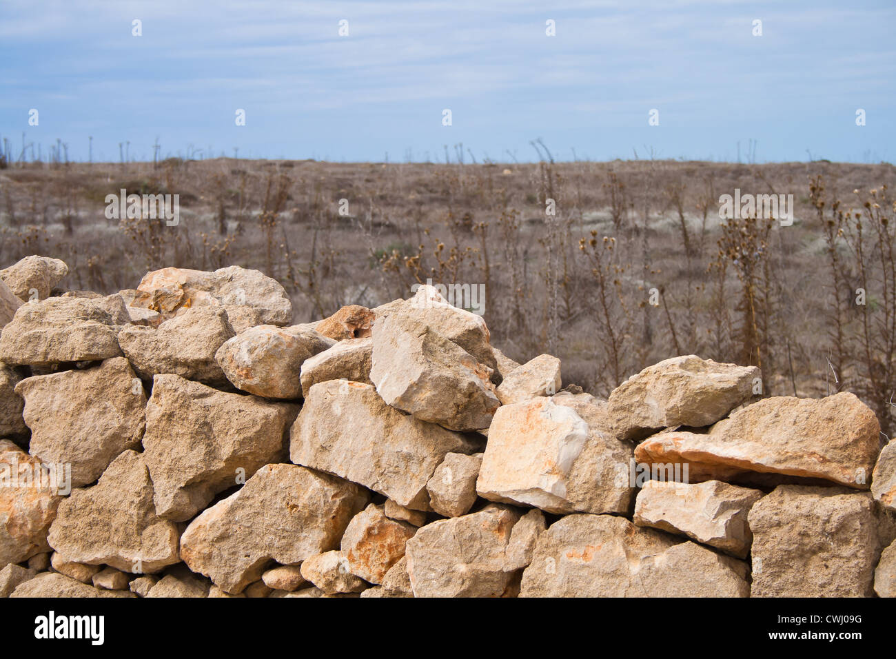 archeology stones on historical field Stock Photo - Alamy