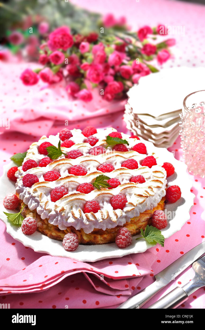 Fancy Raspberry Cake Stock Photo - Alamy
