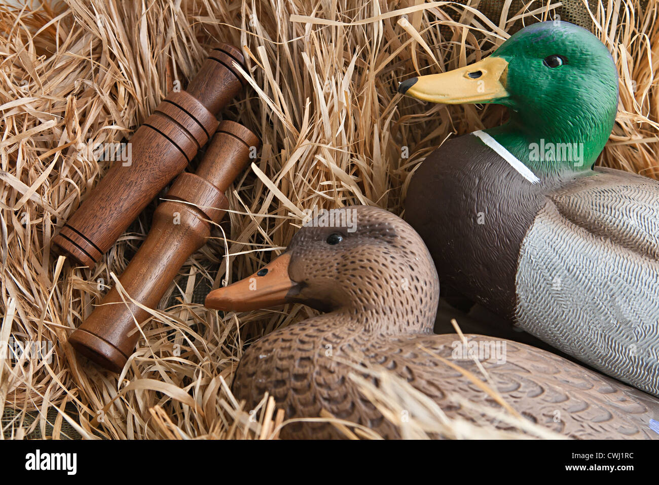 duck decoy with stuffed and some calls Stock Photo - Alamy