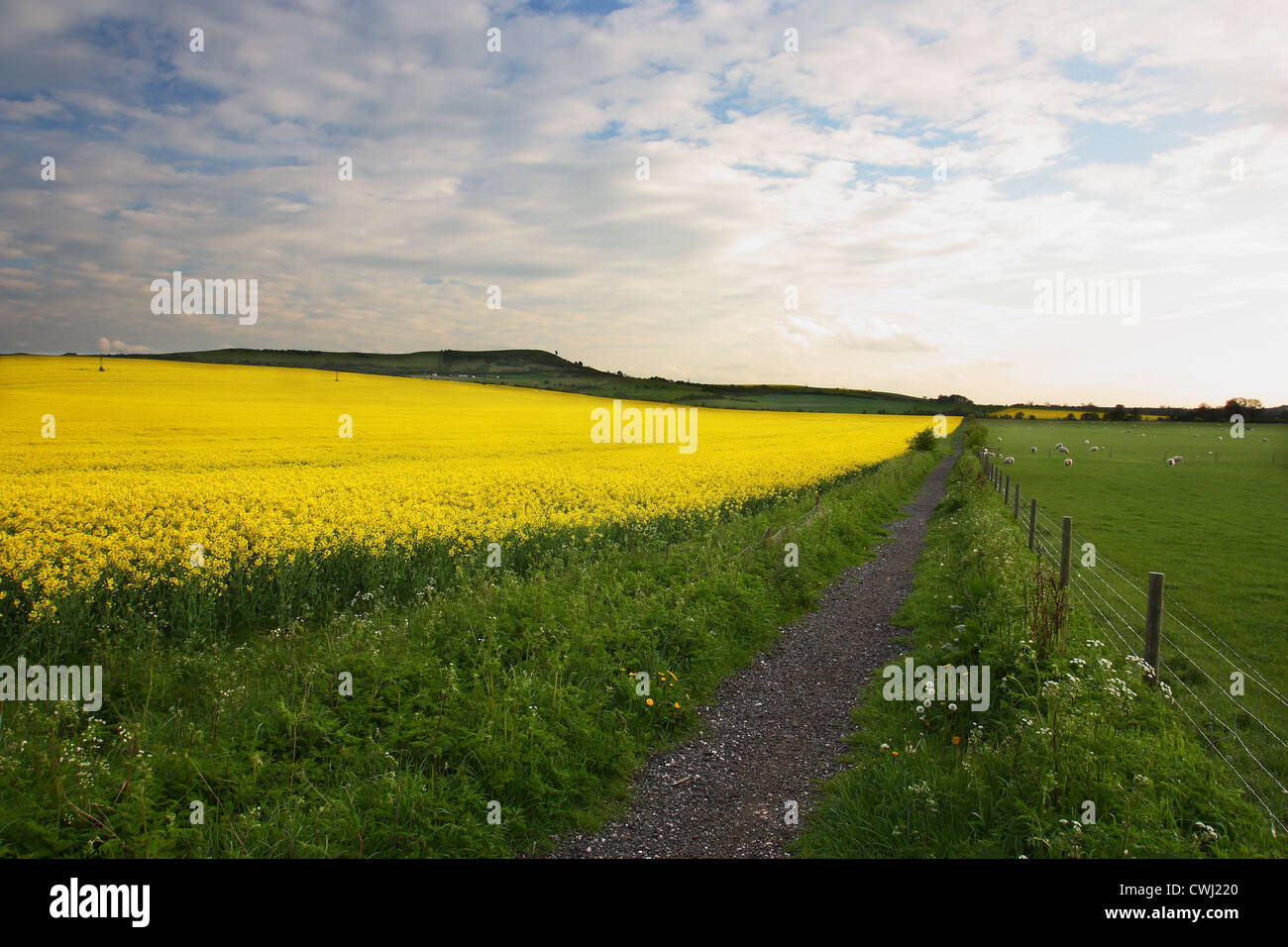 Footpath to The Chilterns Stock Photo - Alamy
