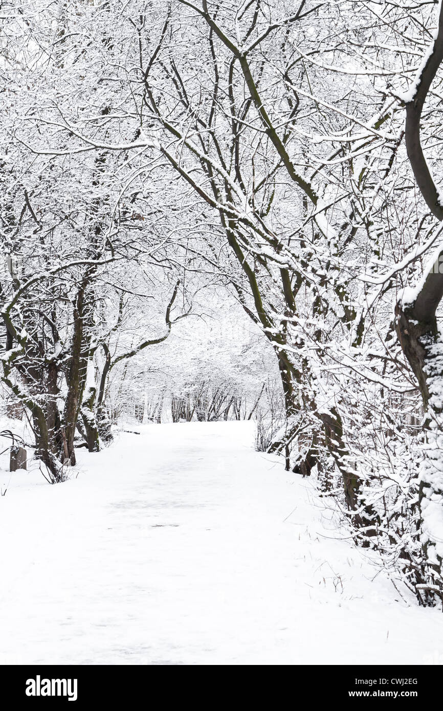 Walk in christmas tree hi-res stock photography and images - Alamy