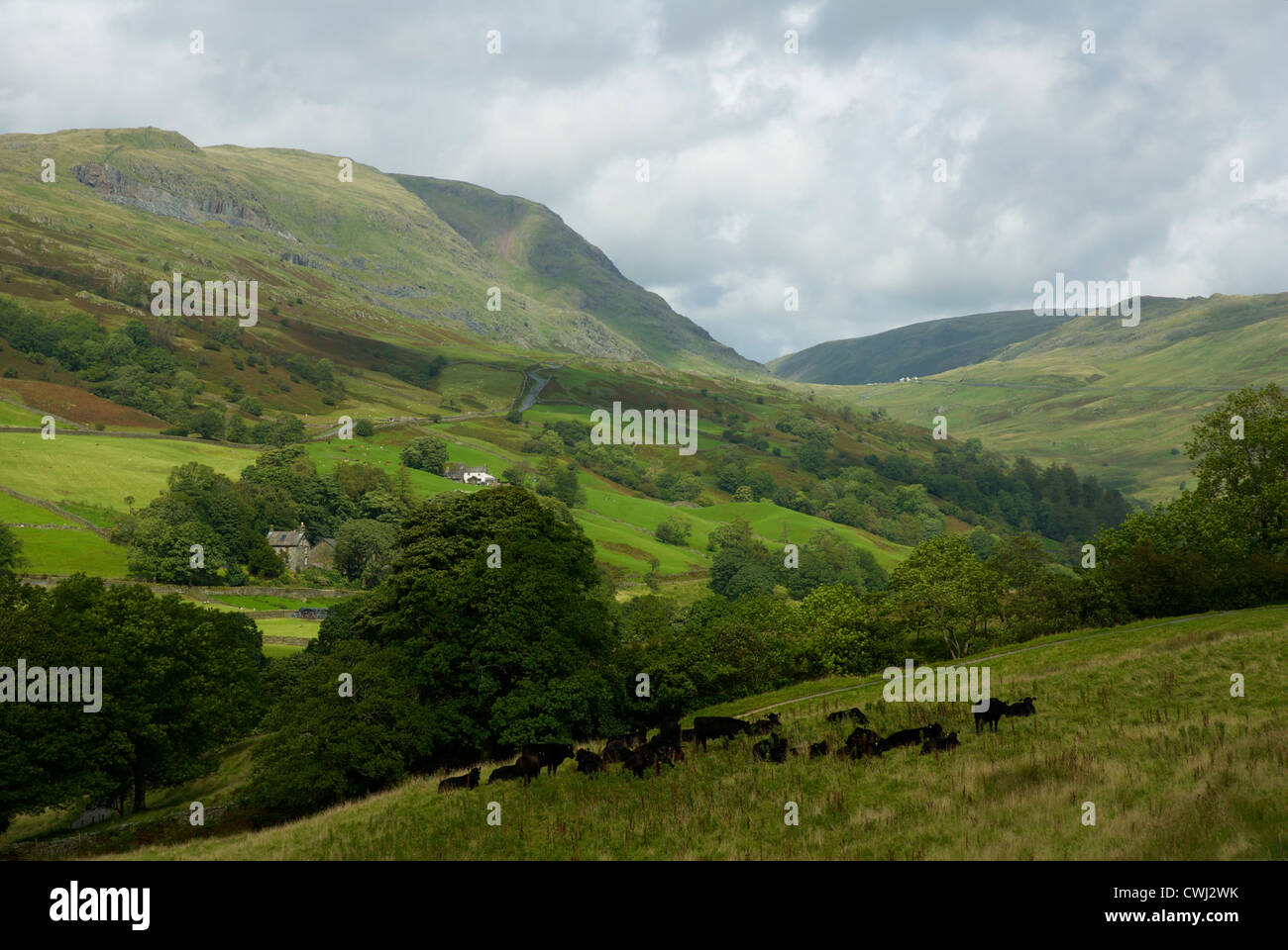 View of Red Screes, and steep road up to Kirkstone Pass (known as 'The ...