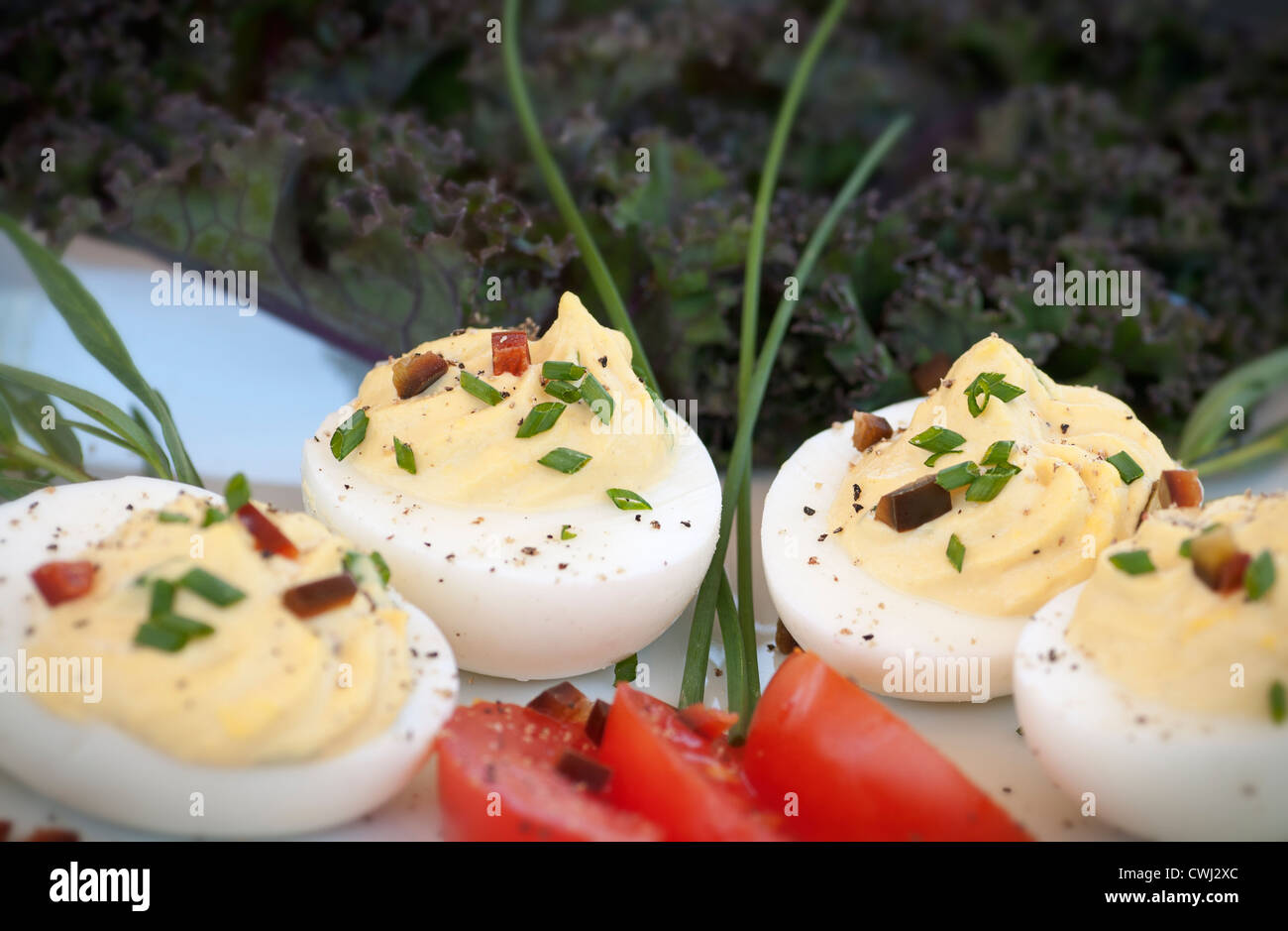Decorative piped filling in deviled eggs with vegetable and herb ...