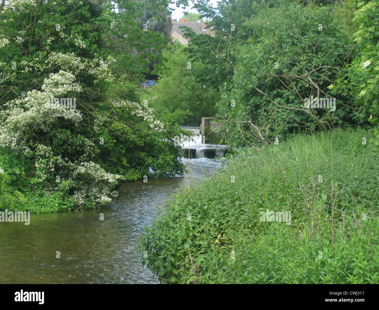 River Lea at Batford, Harpenden Stock Photo - Alamy