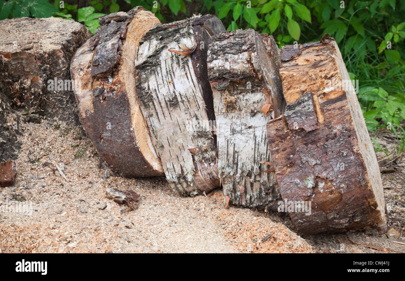 Pile of wooden chumps after cutting Stock Photo - Alamy