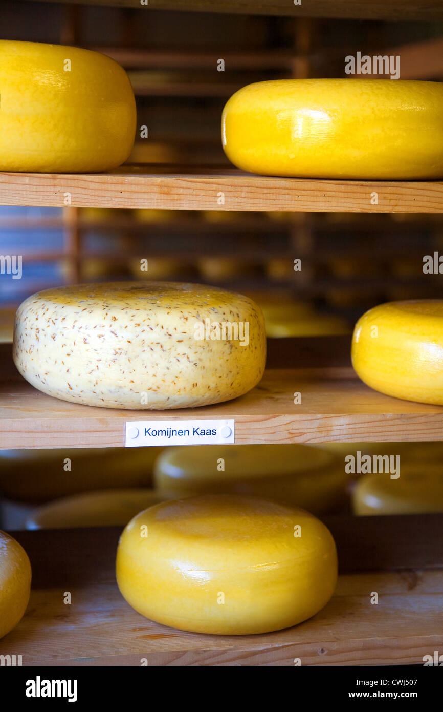 Shelf of cheese hi-res stock photography and images - Alamy