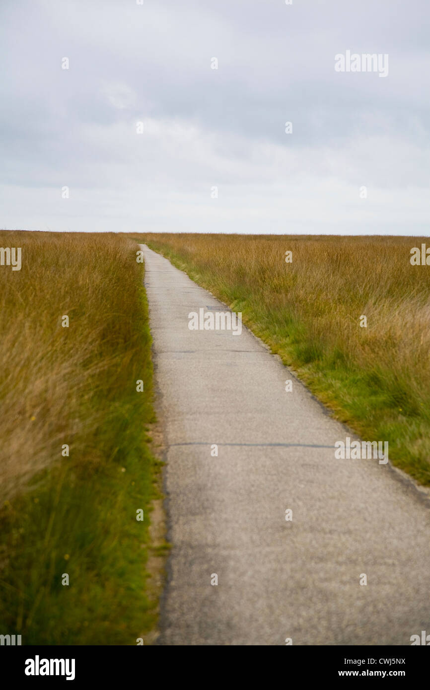Path through field Stock Photo - Alamy