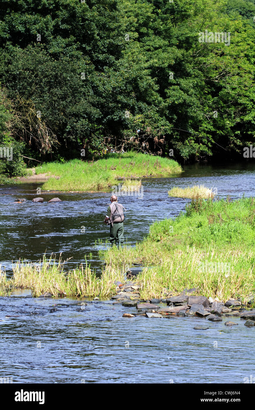 Fly fishing trout on hi-res stock photography and images - Alamy