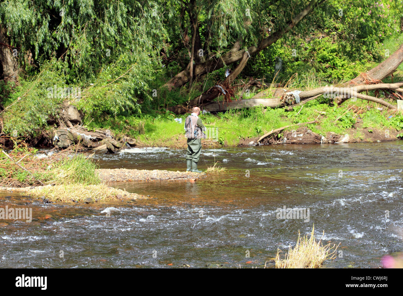 Fly fishing trout on hi-res stock photography and images - Alamy