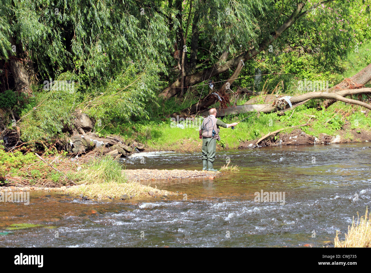 Trout Fishing on the River Calder Stock Photo - Alamy