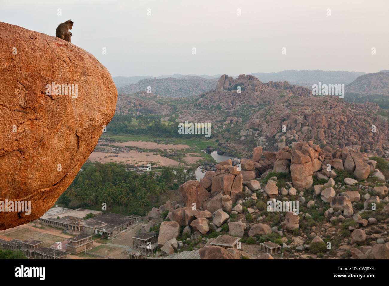 Monkey watching the sunrise from Matanga Hill in Hampi, Karnataka ...
