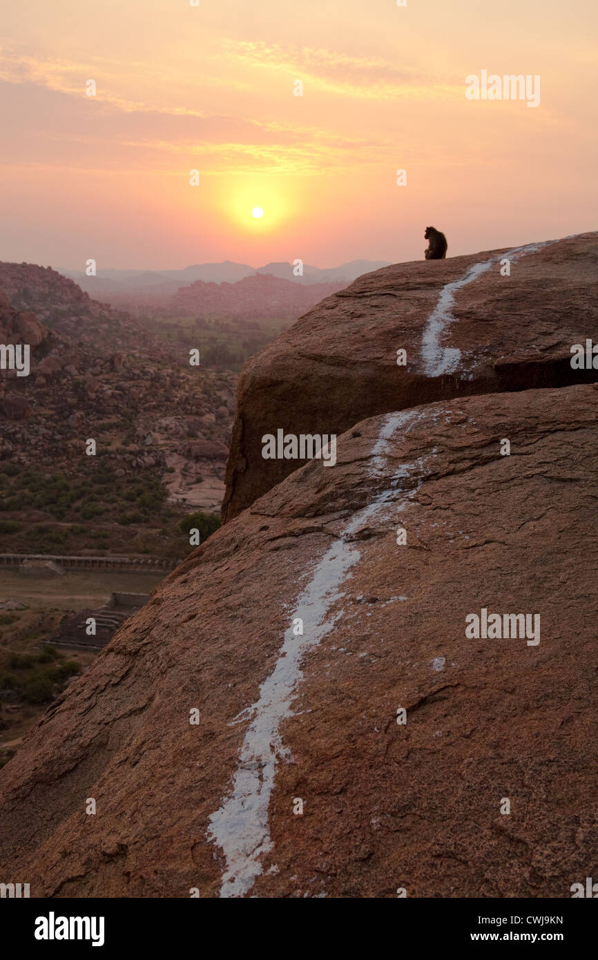 Monkey watching the sunrise from Matanga Hill in Hampi, Karnataka ...