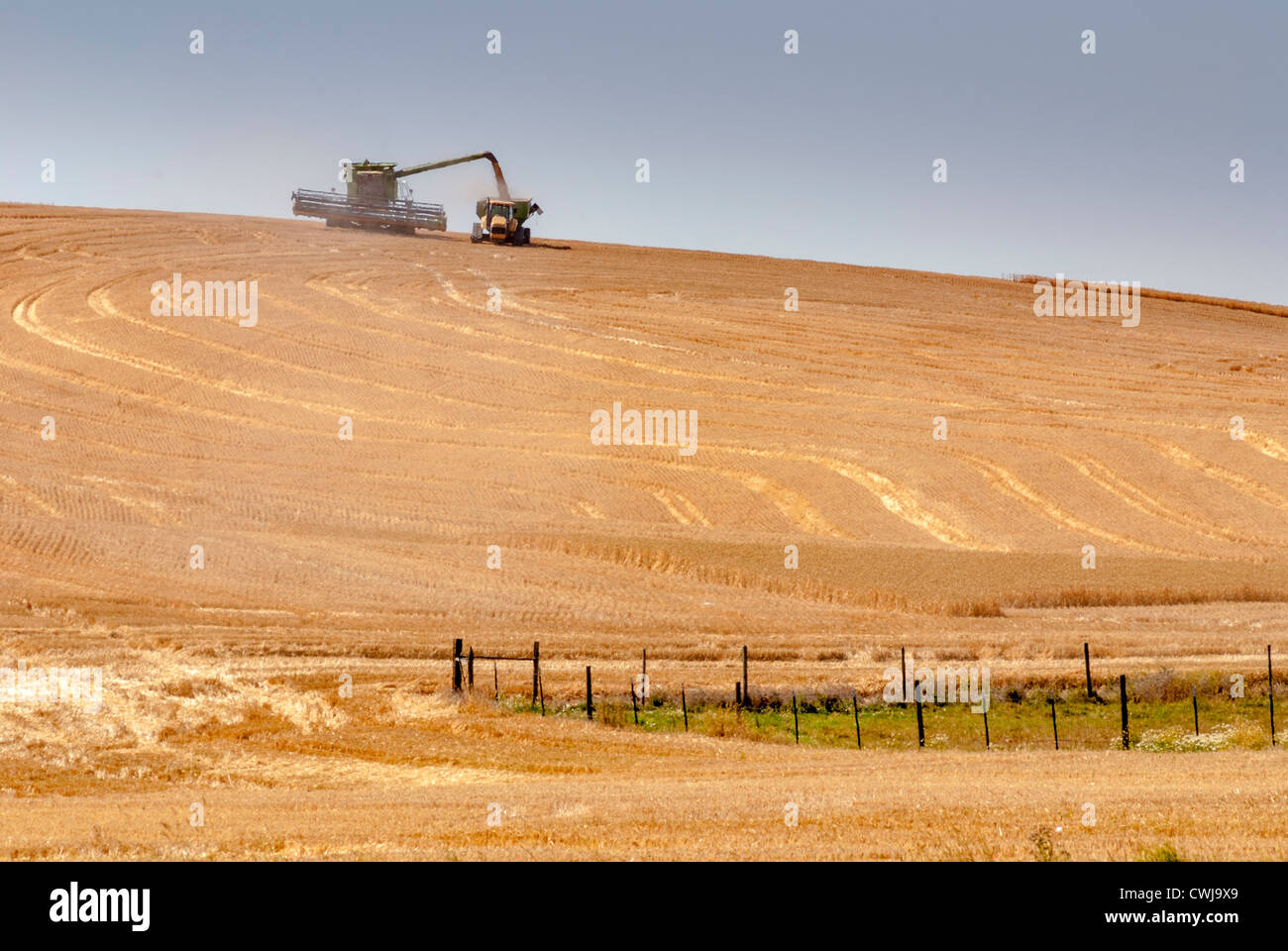 Grain truck hi-res stock photography and images - Alamy