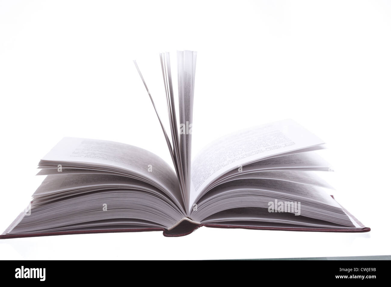 Isolated on white open book library object Stock Photo - Alamy