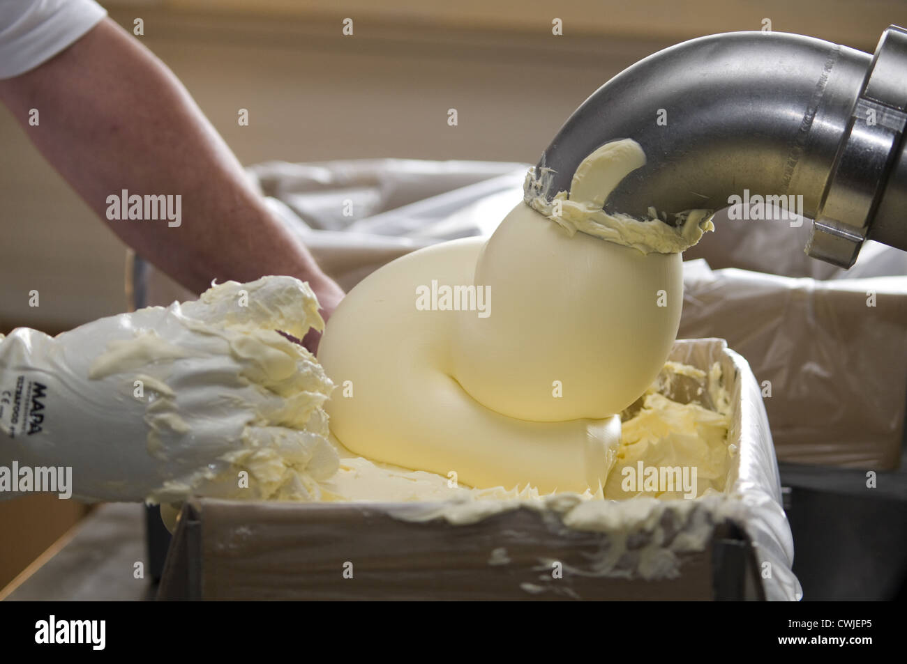 Cheese Gran Moravia, Cheese Company Orrero, Litovel Stock Photo - Alamy
