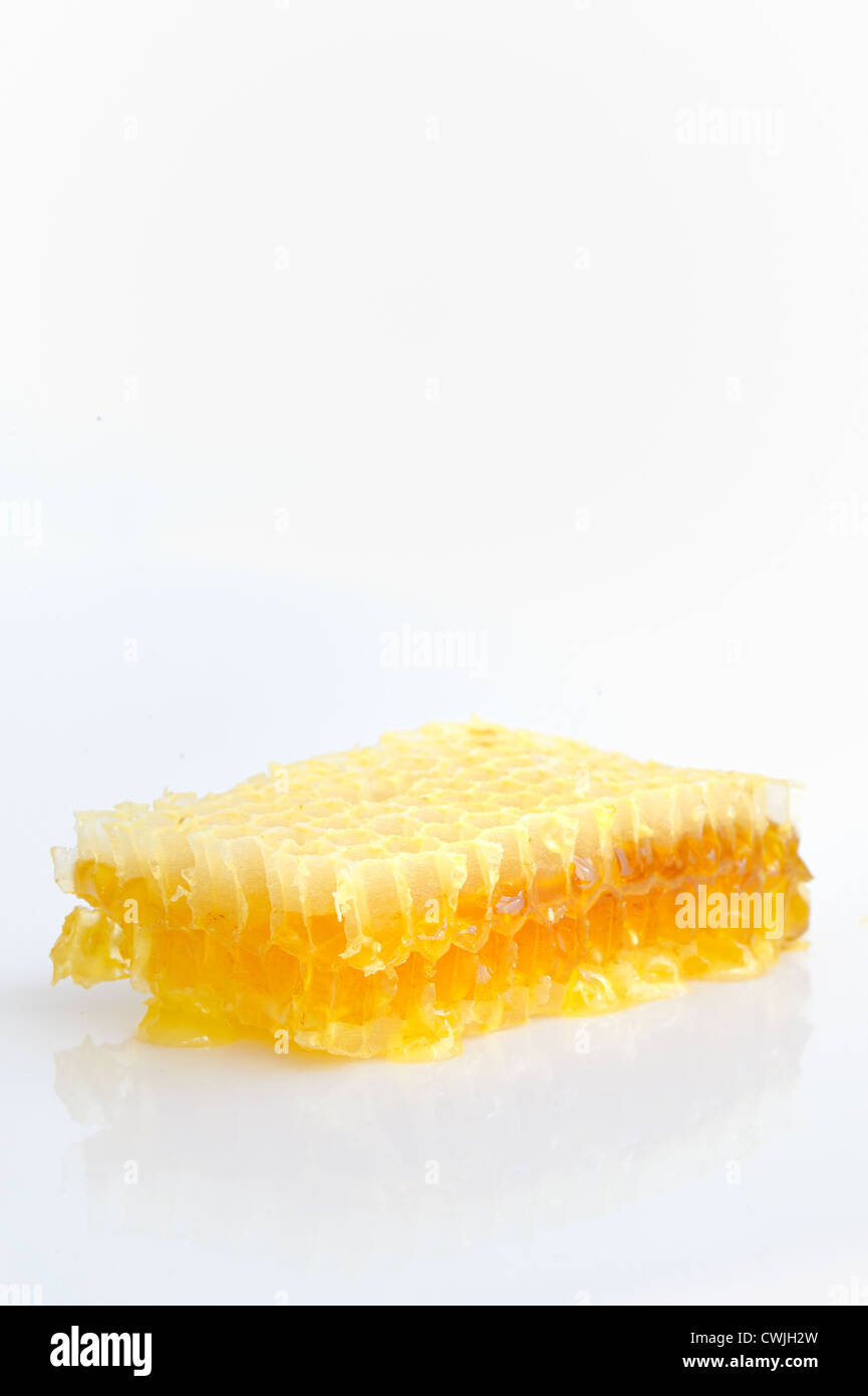 Honeycomb isolated on white background Stock Photo - Alamy