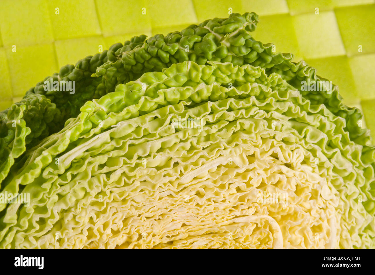 detail of a cabbage Stock Photo - Alamy