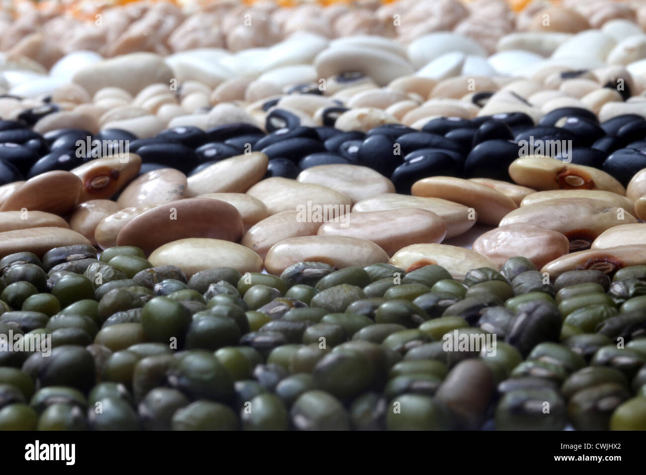 Various beans close up Stock Photo - Alamy