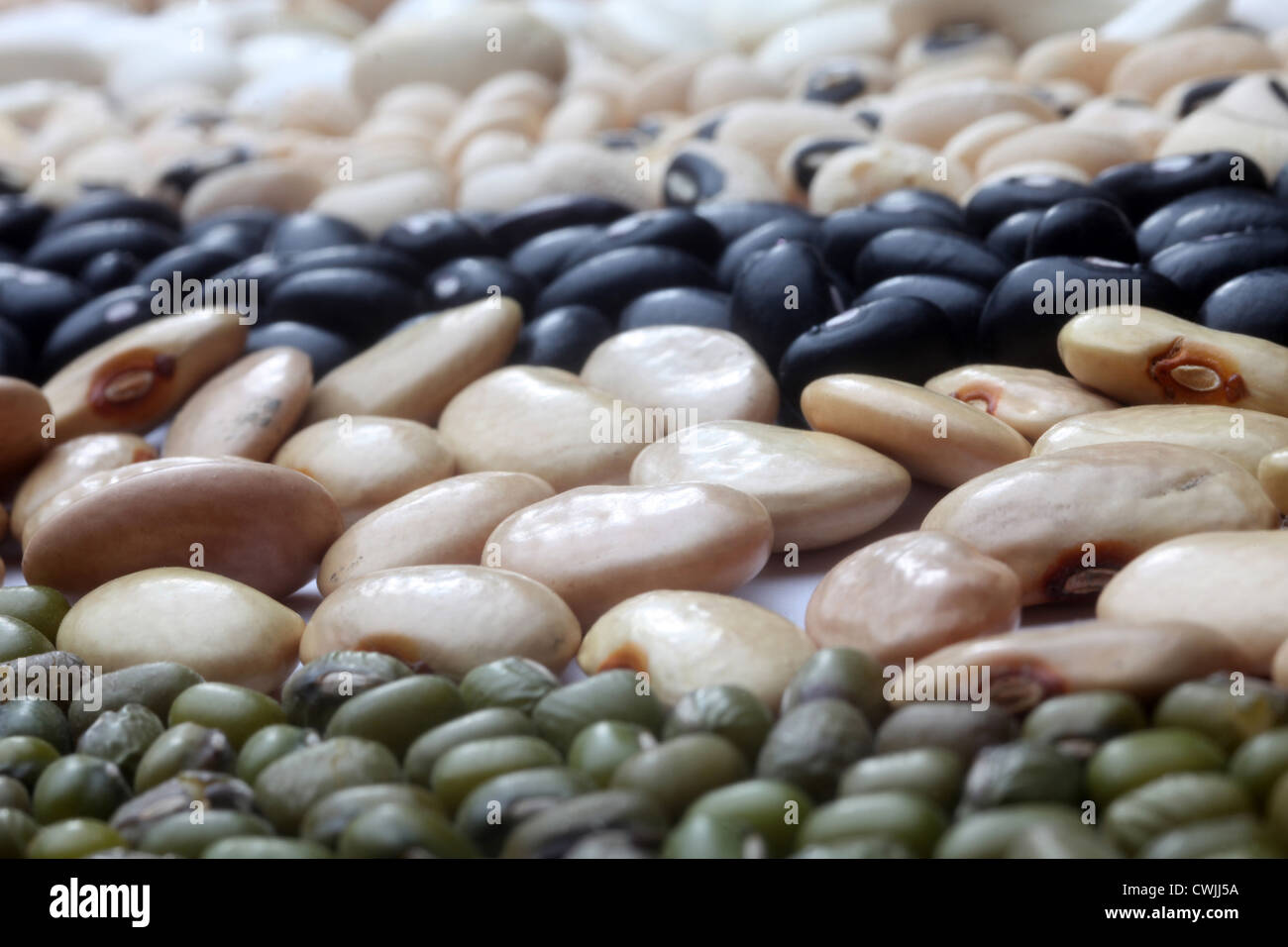 Various beans close up Stock Photo - Alamy