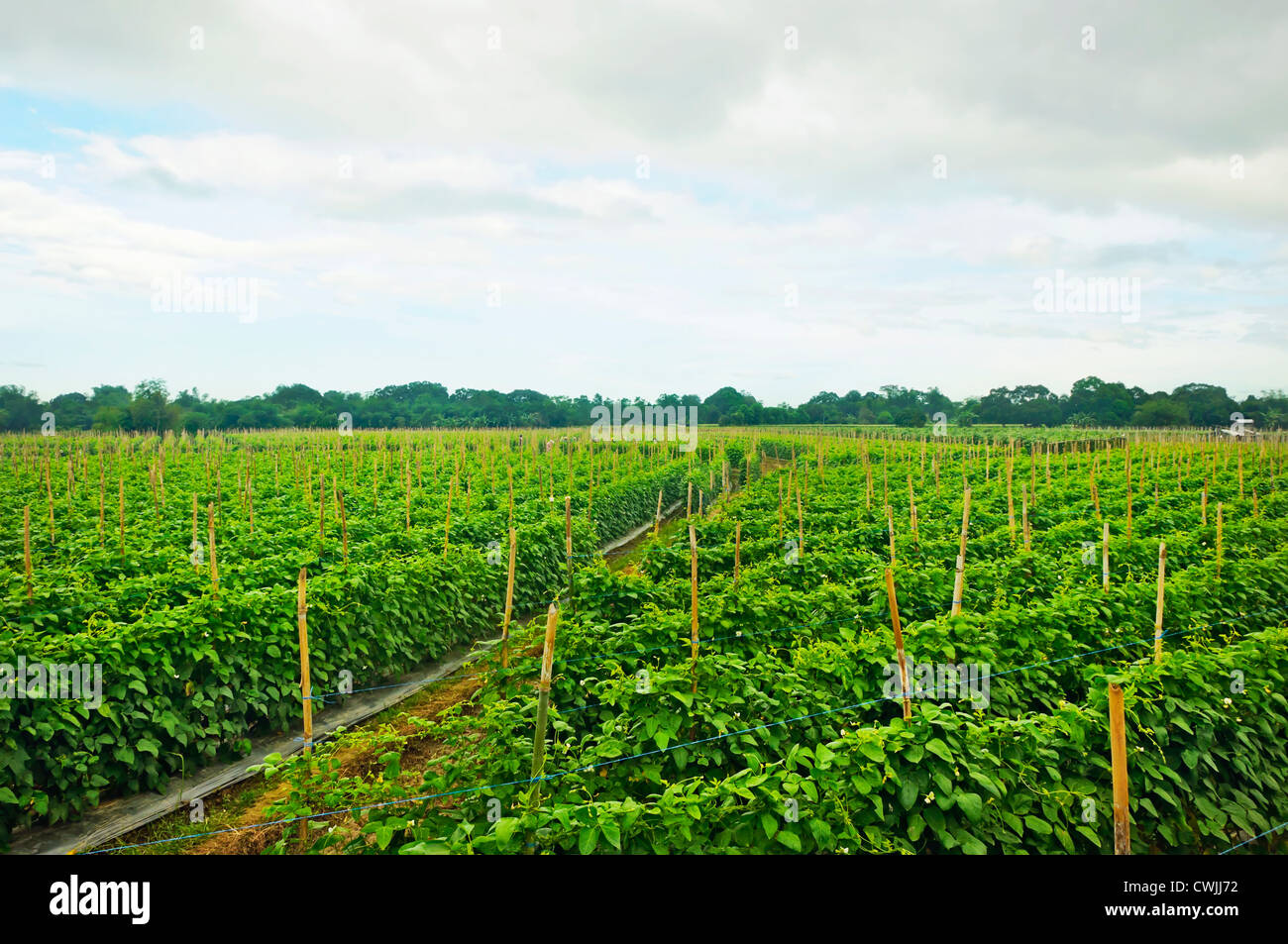 North of luzon hi-res stock photography and images - Alamy