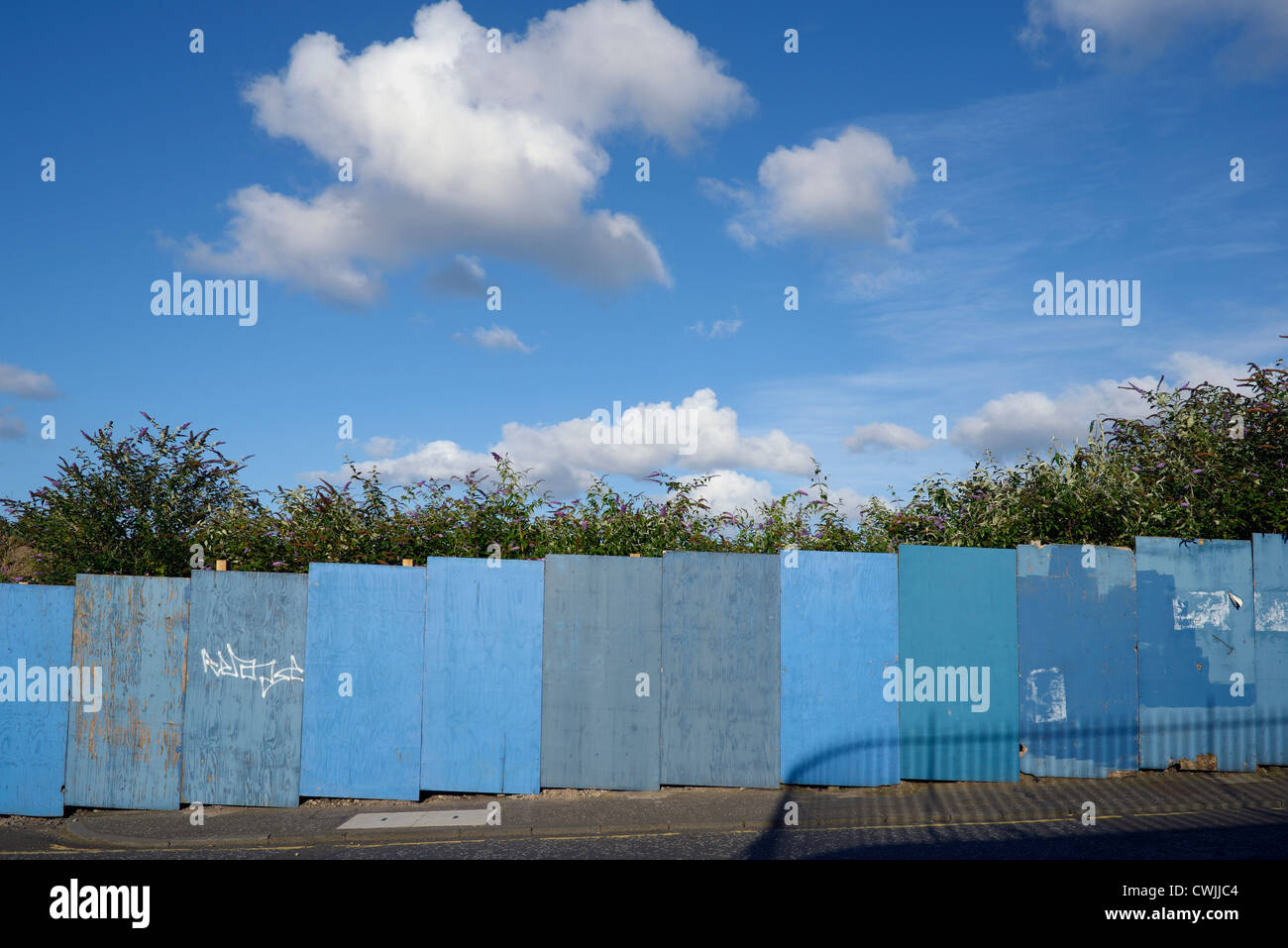 blue wall edinburgh scotland Stock Photo - Alamy