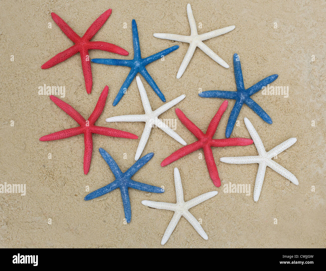 painted starfish on a beach Stock Photo - Alamy