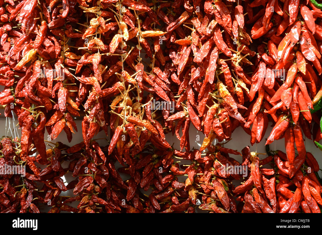 Dried chilli peppers for sale, Italy Stock Photo - Alamy
