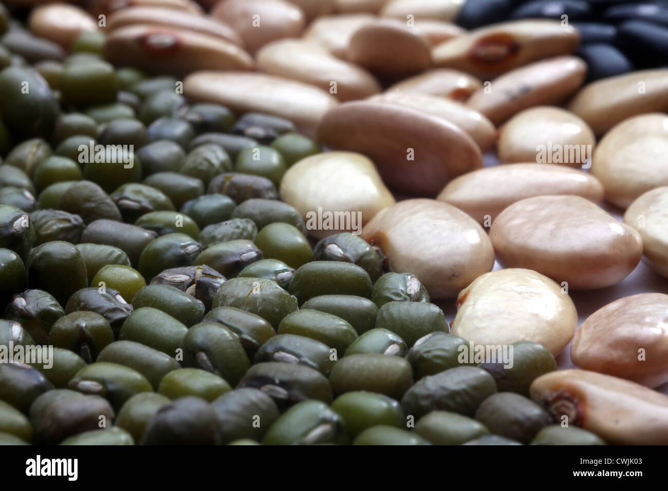 Various beans close up Stock Photo - Alamy