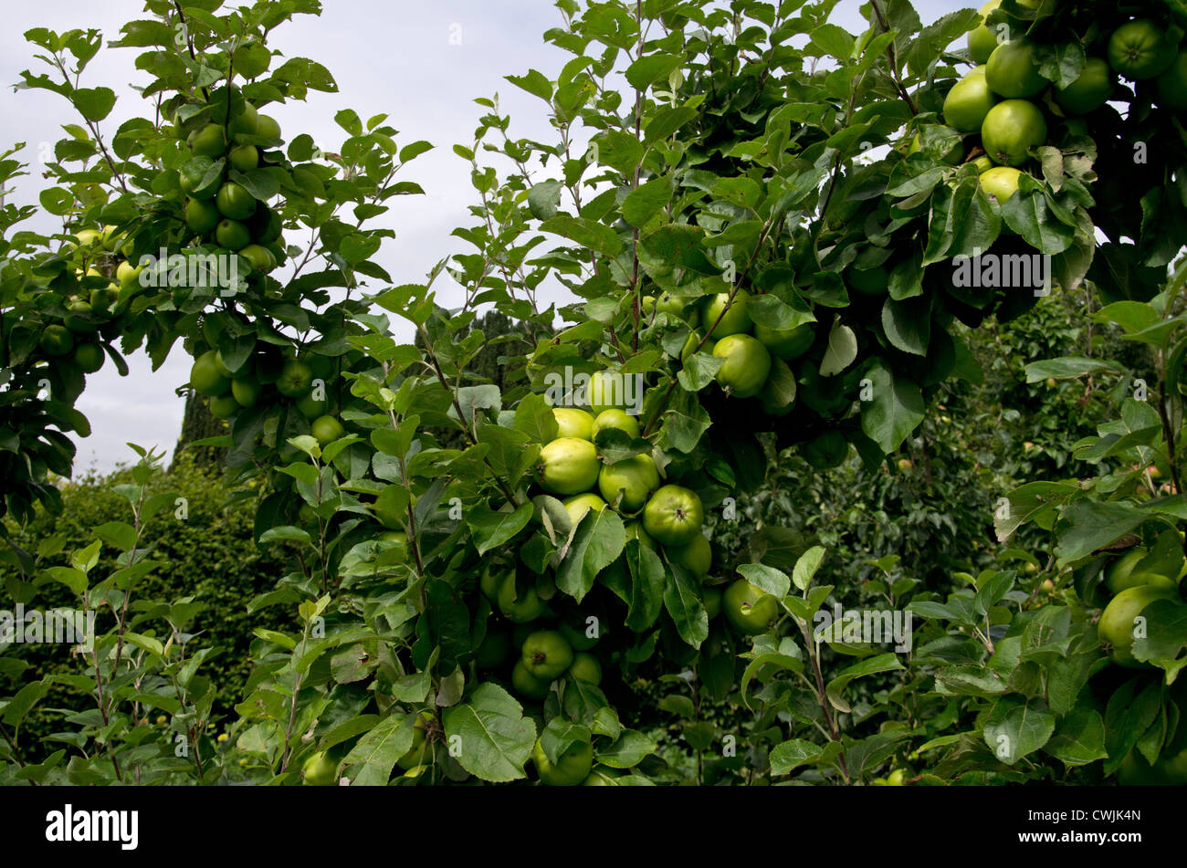 Emneth hi-res stock photography and images - Alamy