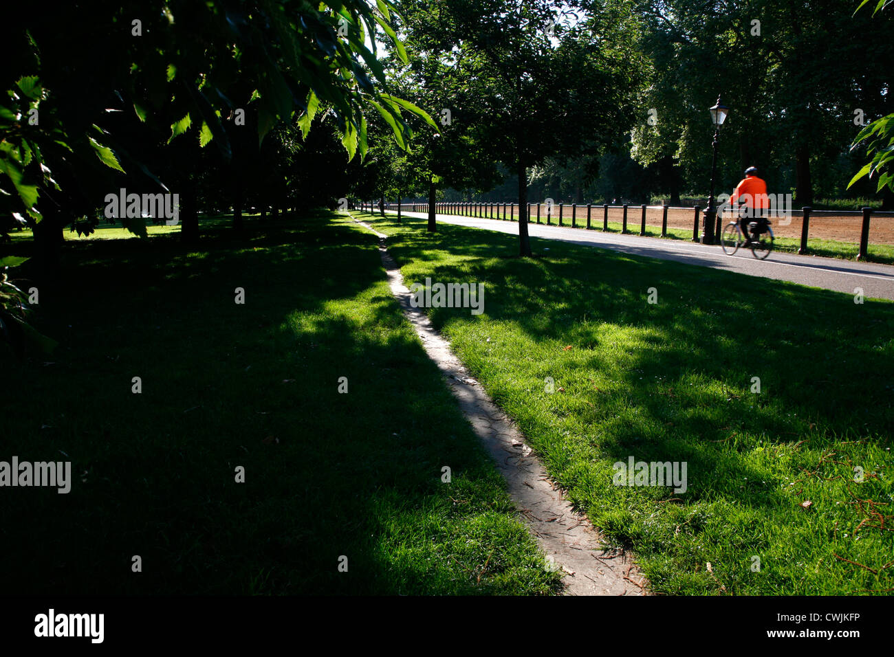 Cyclist cycling along Rotten Row, Hyde Park, London, UK Stock Photo - Alamy