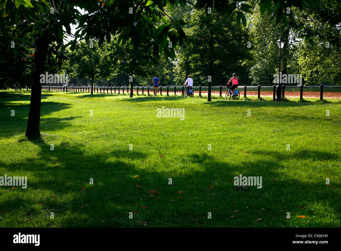 Cyclists cycling along Rotten Row, Hyde Park, London, UK Stock Photo ...