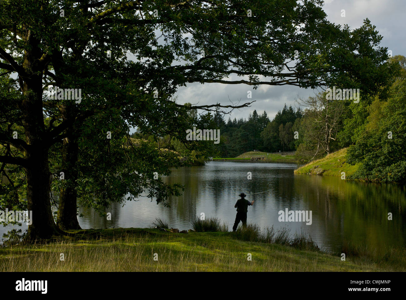 Man fishing in Ghyll Head Reservoir, near Bowness, South Lakeland, Lake ...