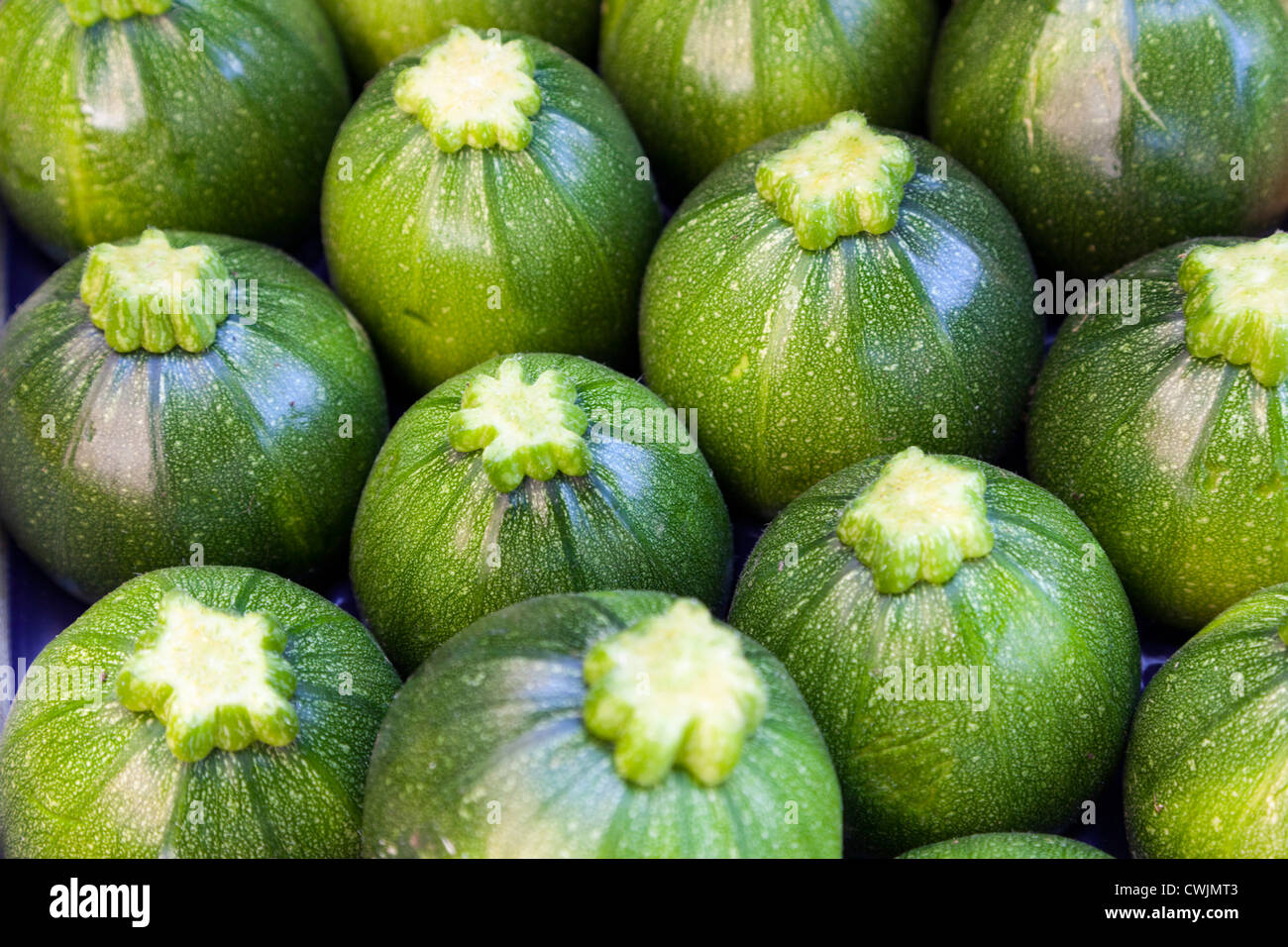 Round courgettes for sale at the market in Apt Provence France Stock ...