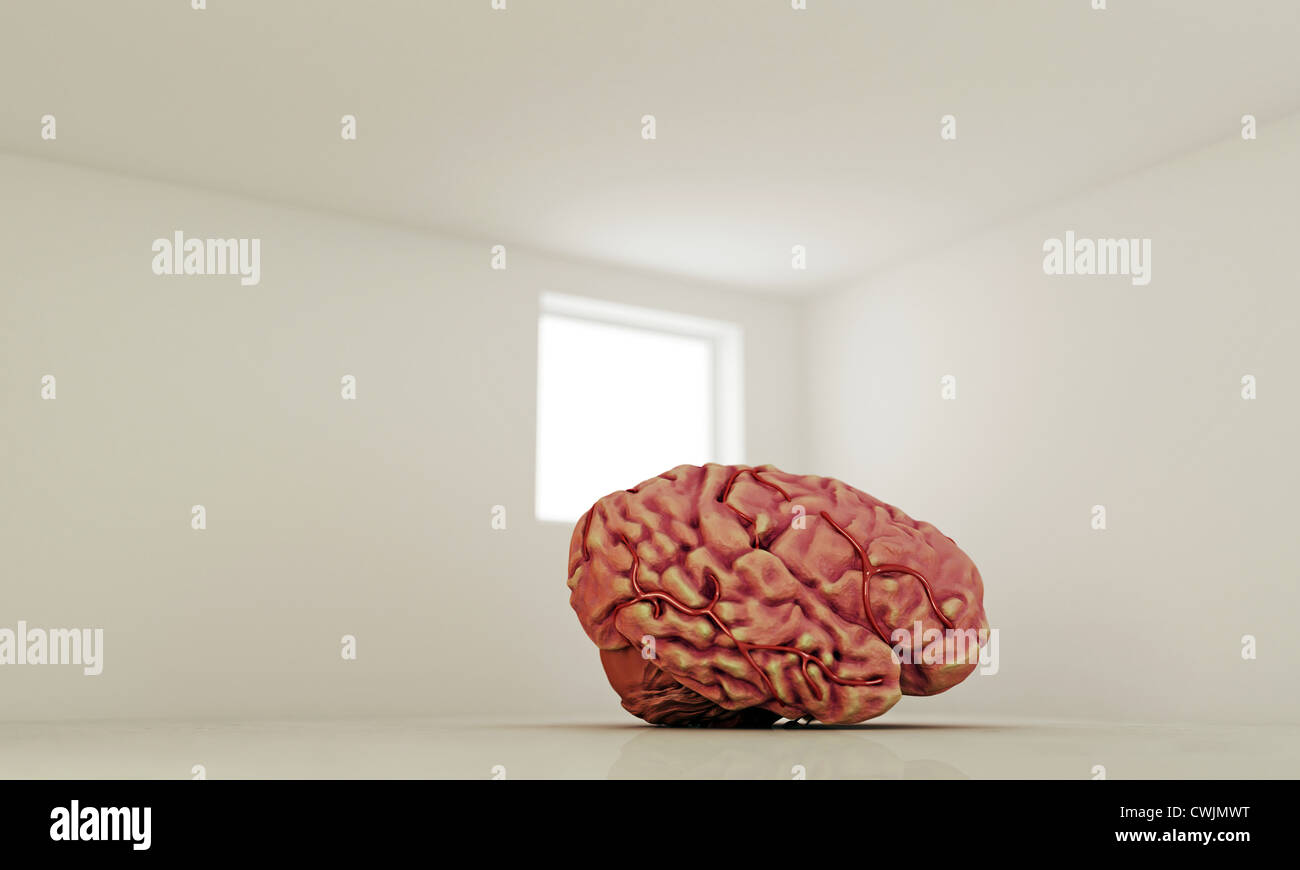 big brain in a modern empty room Stock Photo - Alamy