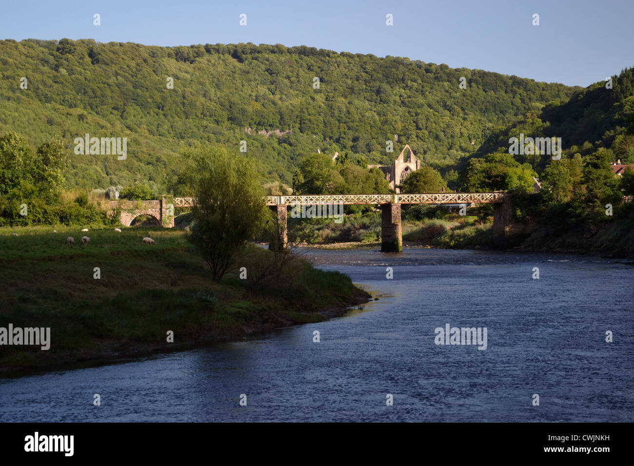 Tintern Abbey and Bridge Over the River Wye in South Wales Stock Photo ...