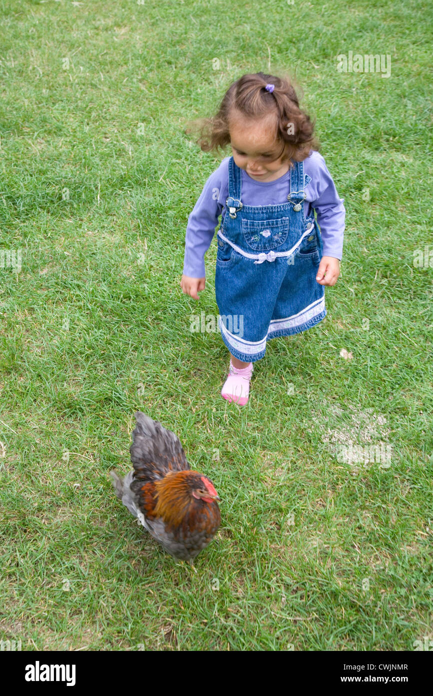 Little girl chasing a chicken on a visit to a city farm Stock Photo - Alamy