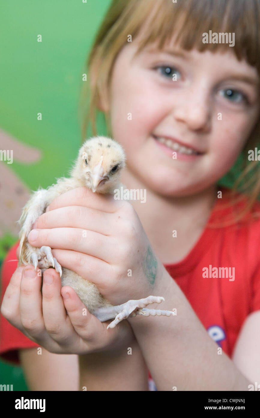 Young girl holding up a baby chick Stock Photo - Alamy