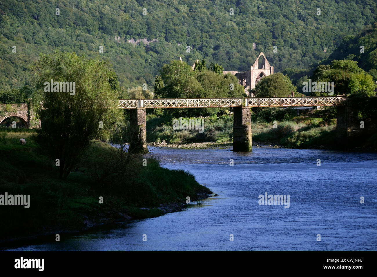 Tintern Abbey and Bridge Over the River Wye in South Wales Stock Photo ...
