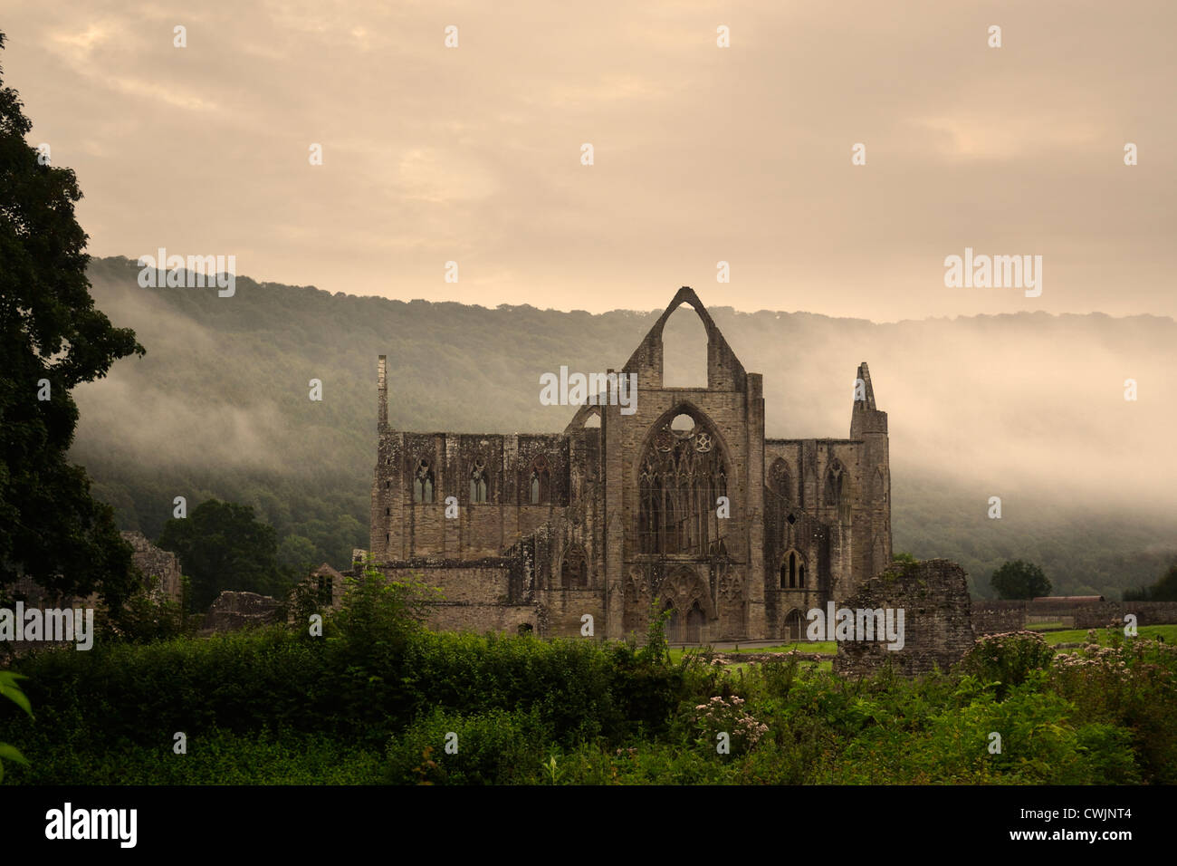 Tintern hi-res stock photography and images - Alamy