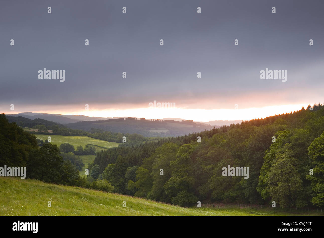 Looking across an area of the Morvan national park in Burgundy, France ...