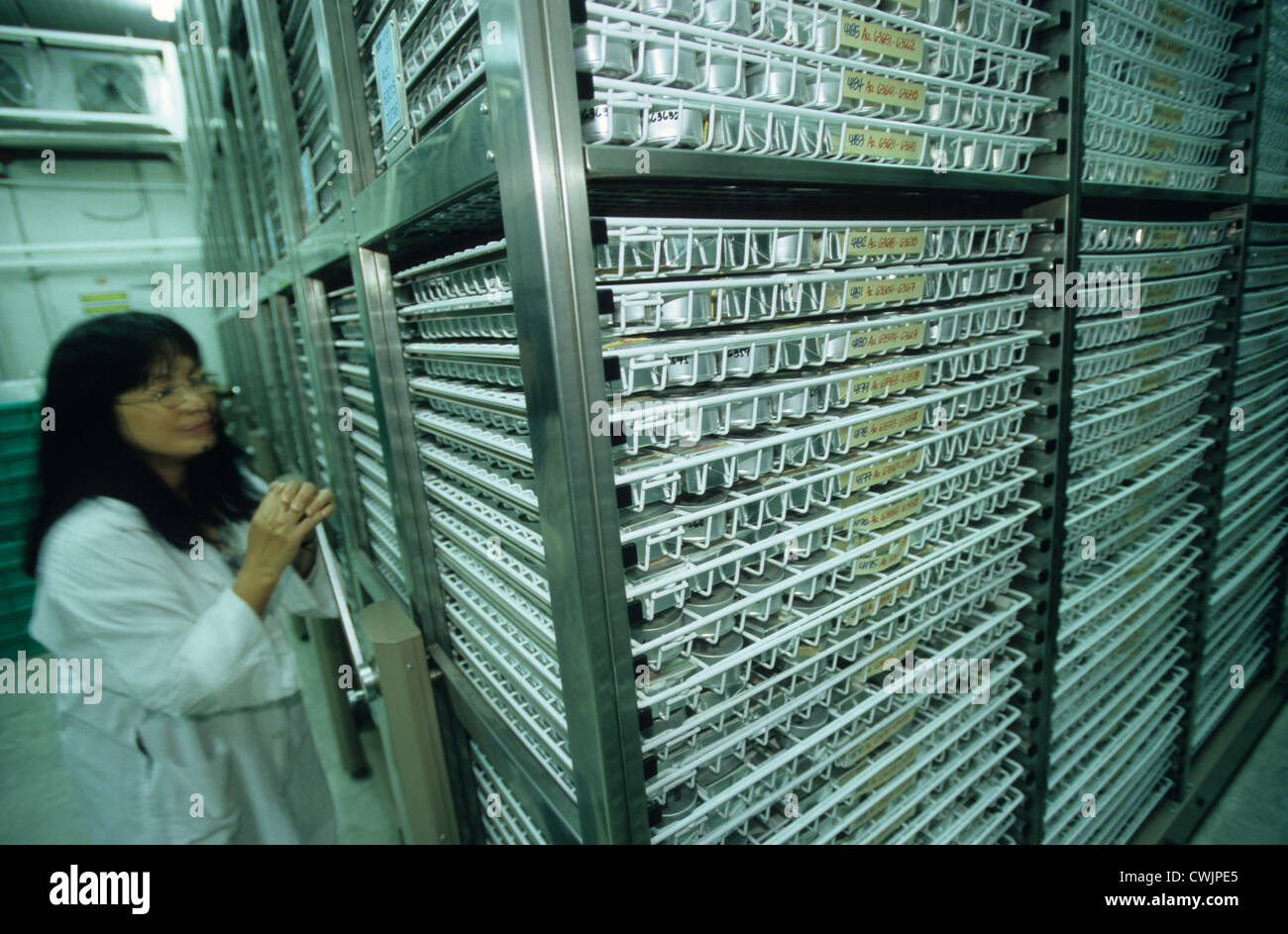 Philippines IRRI international rice research institute in Los Banos ...
