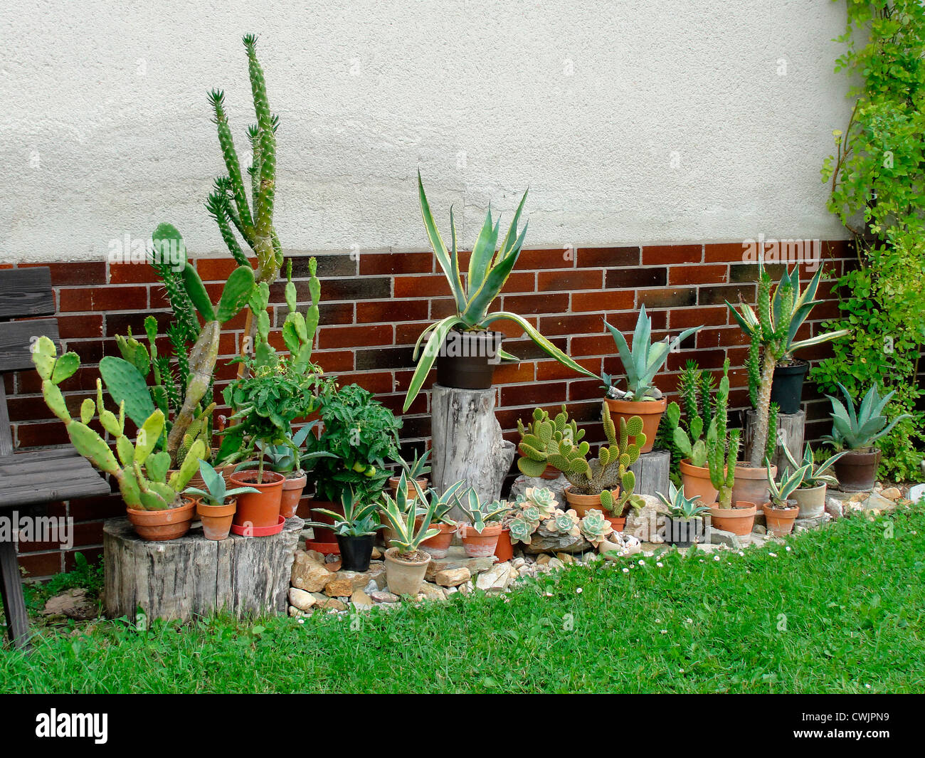 Garden Still Life High Resolution Stock Photography and Images - Alamy