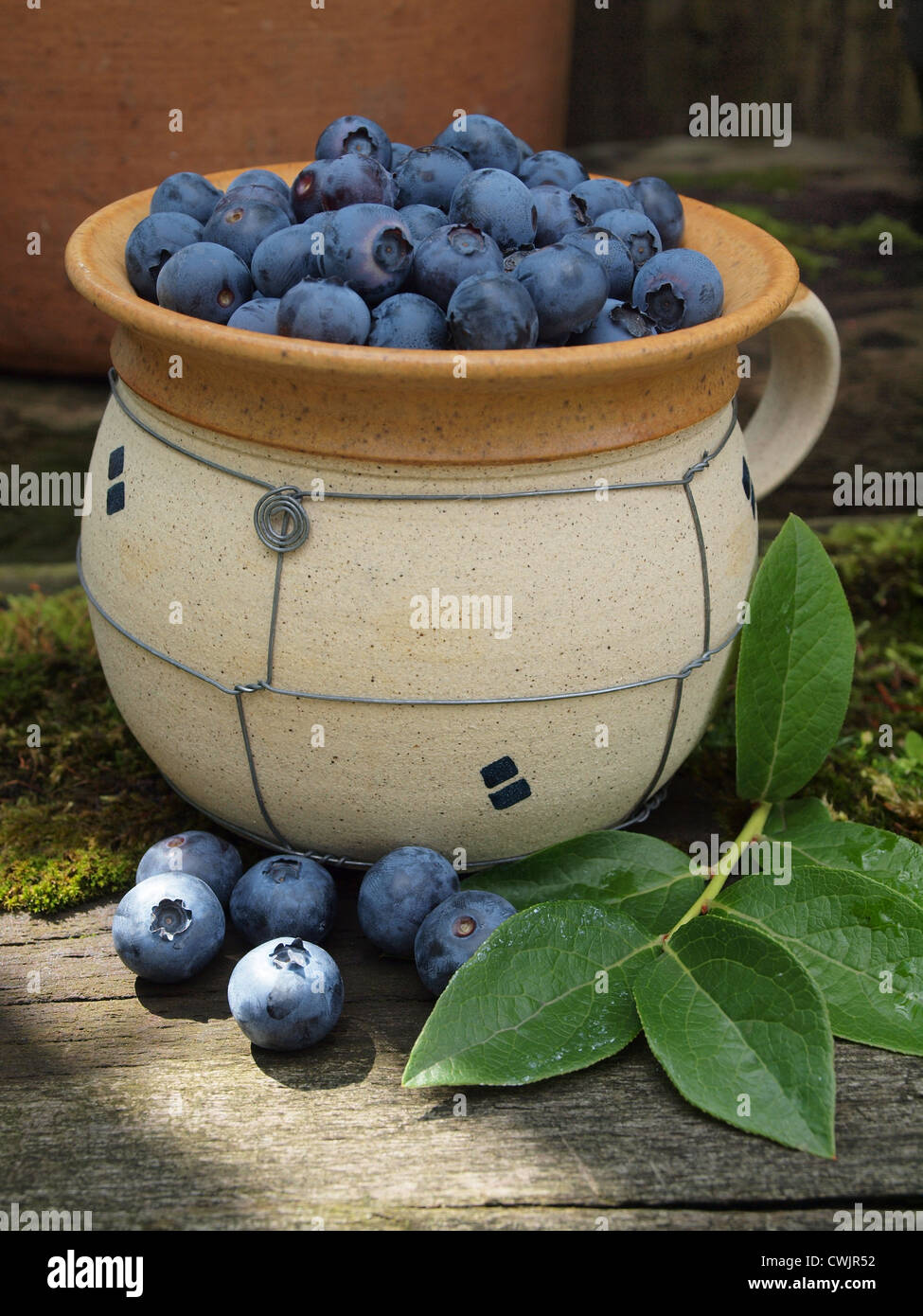 Pot detail hi-res stock photography and images - Alamy