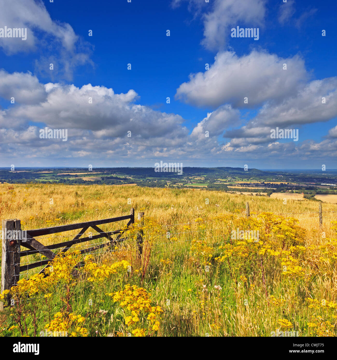 An old wooden gate on Butser Hill in Hampshire with views across the ...