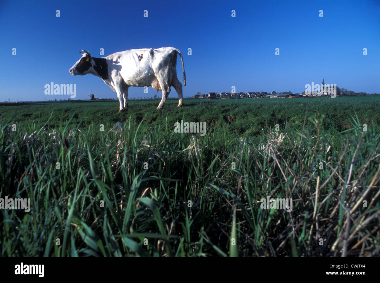 Flat open hi-res stock photography and images - Alamy