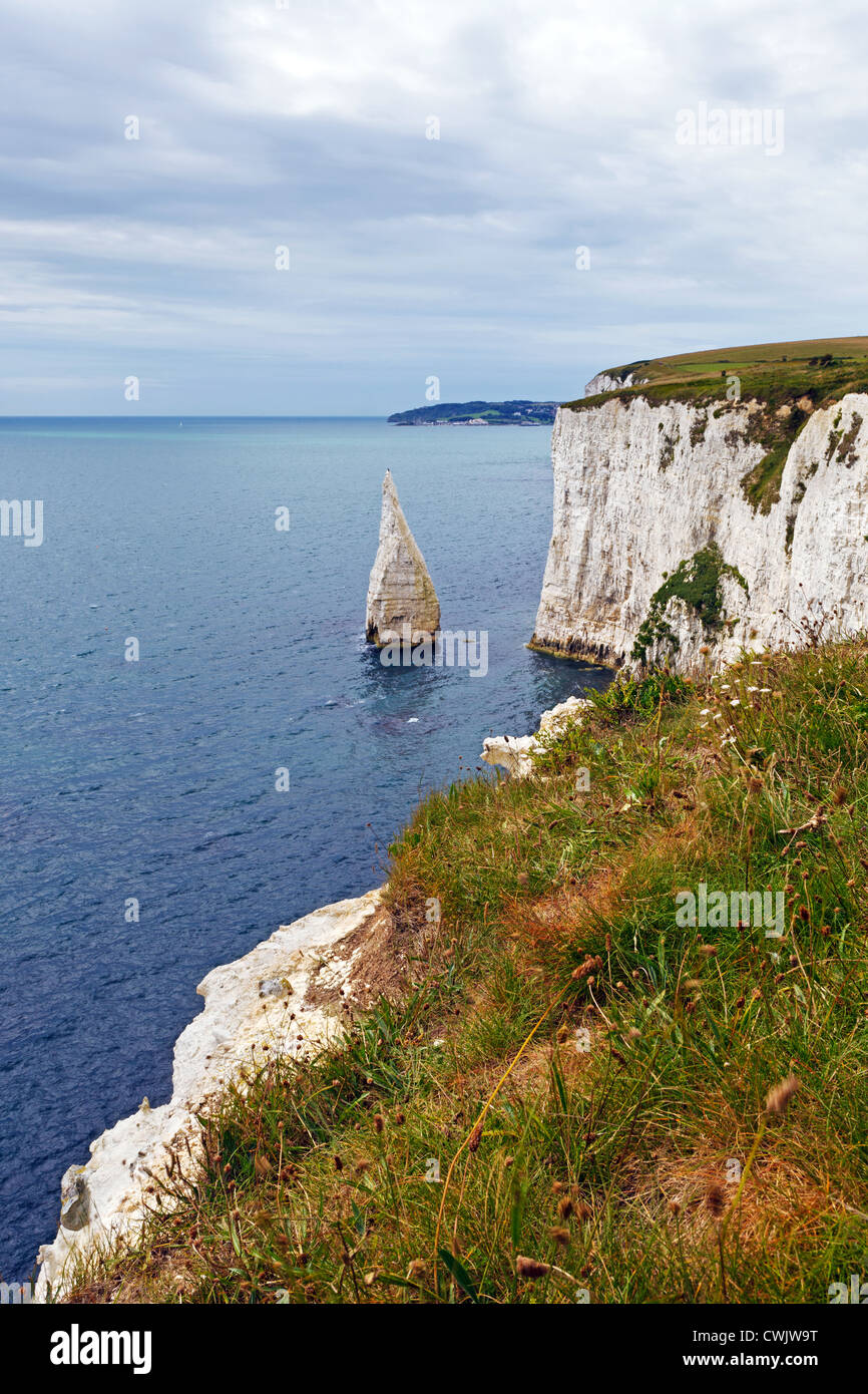 Old Harry Rocks in Dorset England Stock Photo - Alamy