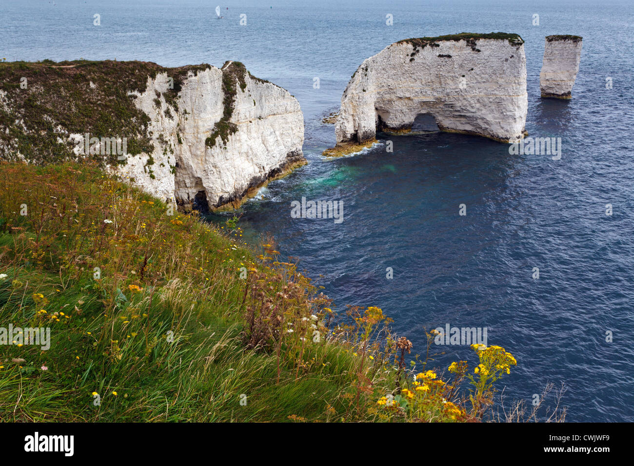 Old harry rocks dorset hi-res stock photography and images - Alamy