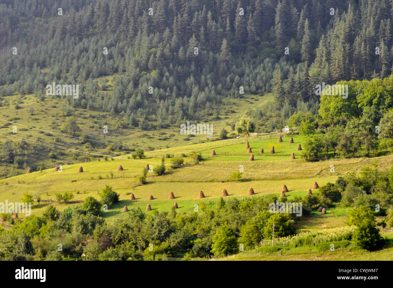 Lentekhi hi-res stock photography and images - Alamy