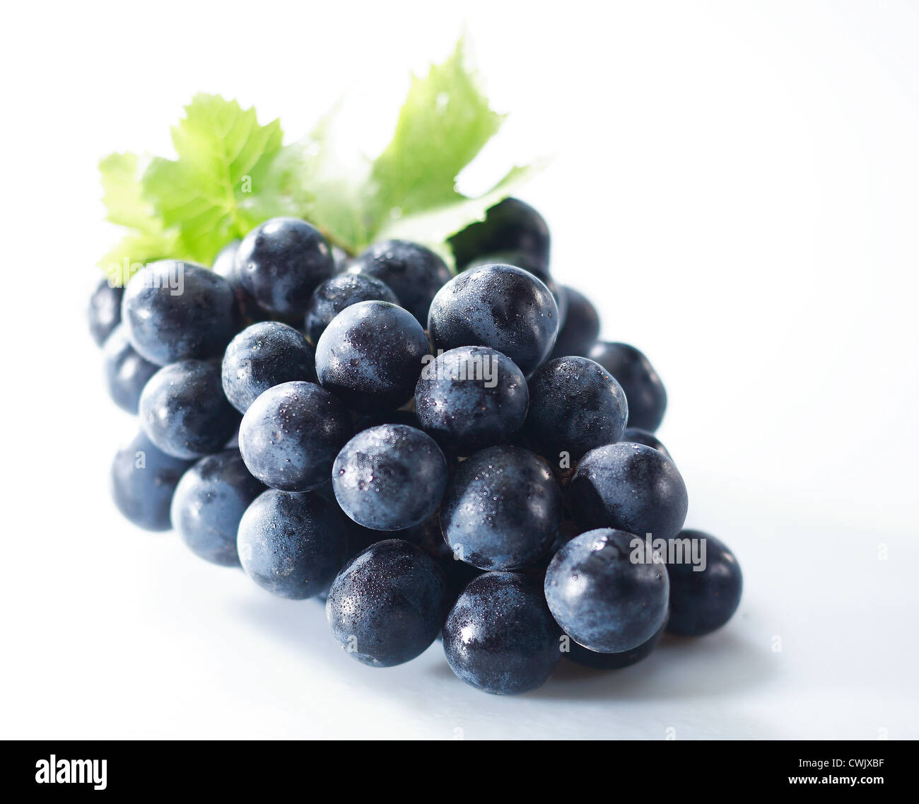 Bunch of Grapes Stock Photo - Alamy